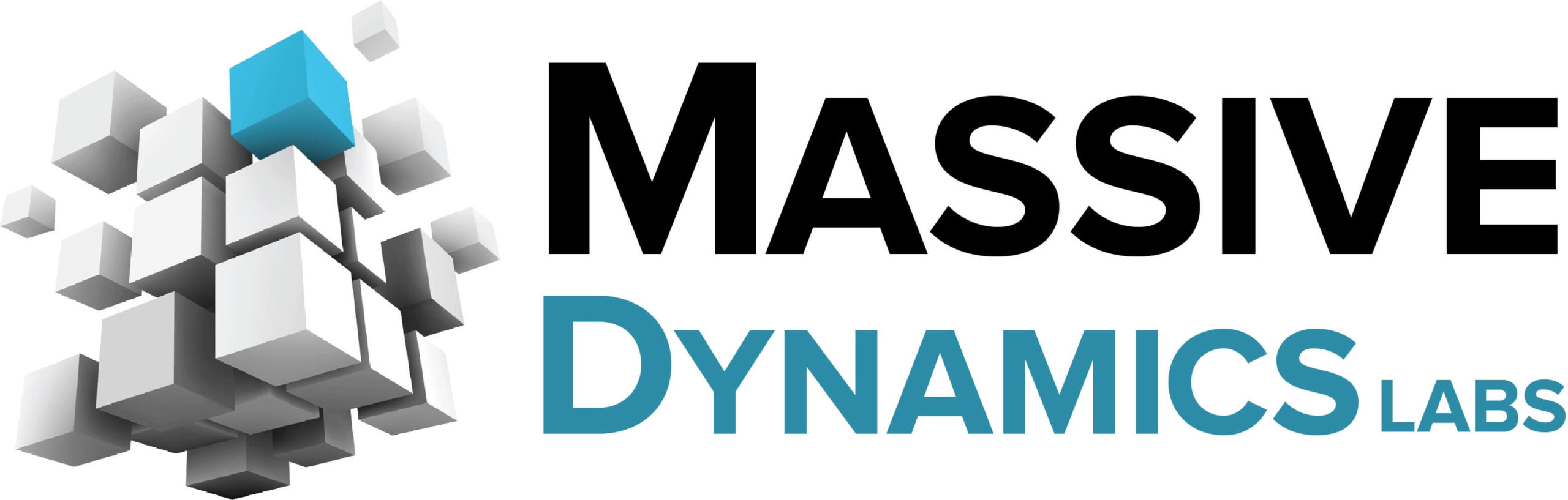 Executive Leadership - Massive Dynamics